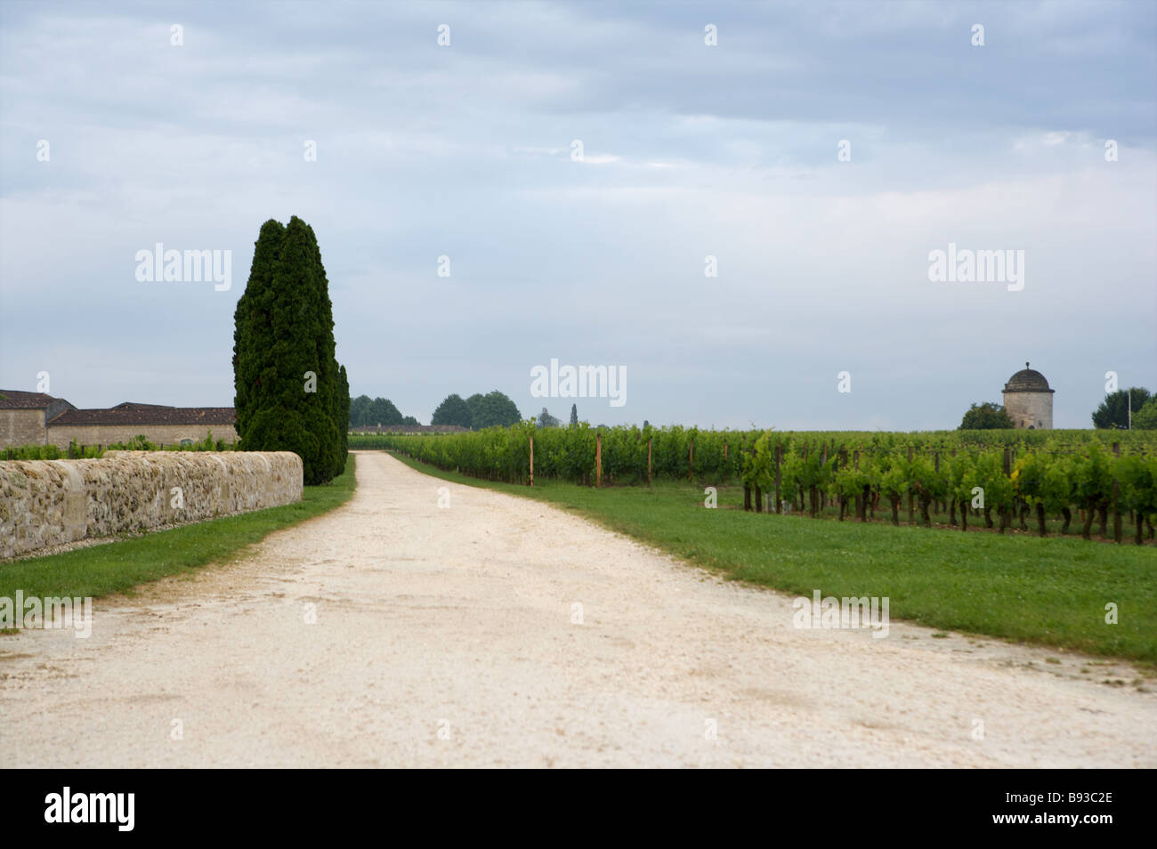 French countryside with tree Stock Photo - Alamy