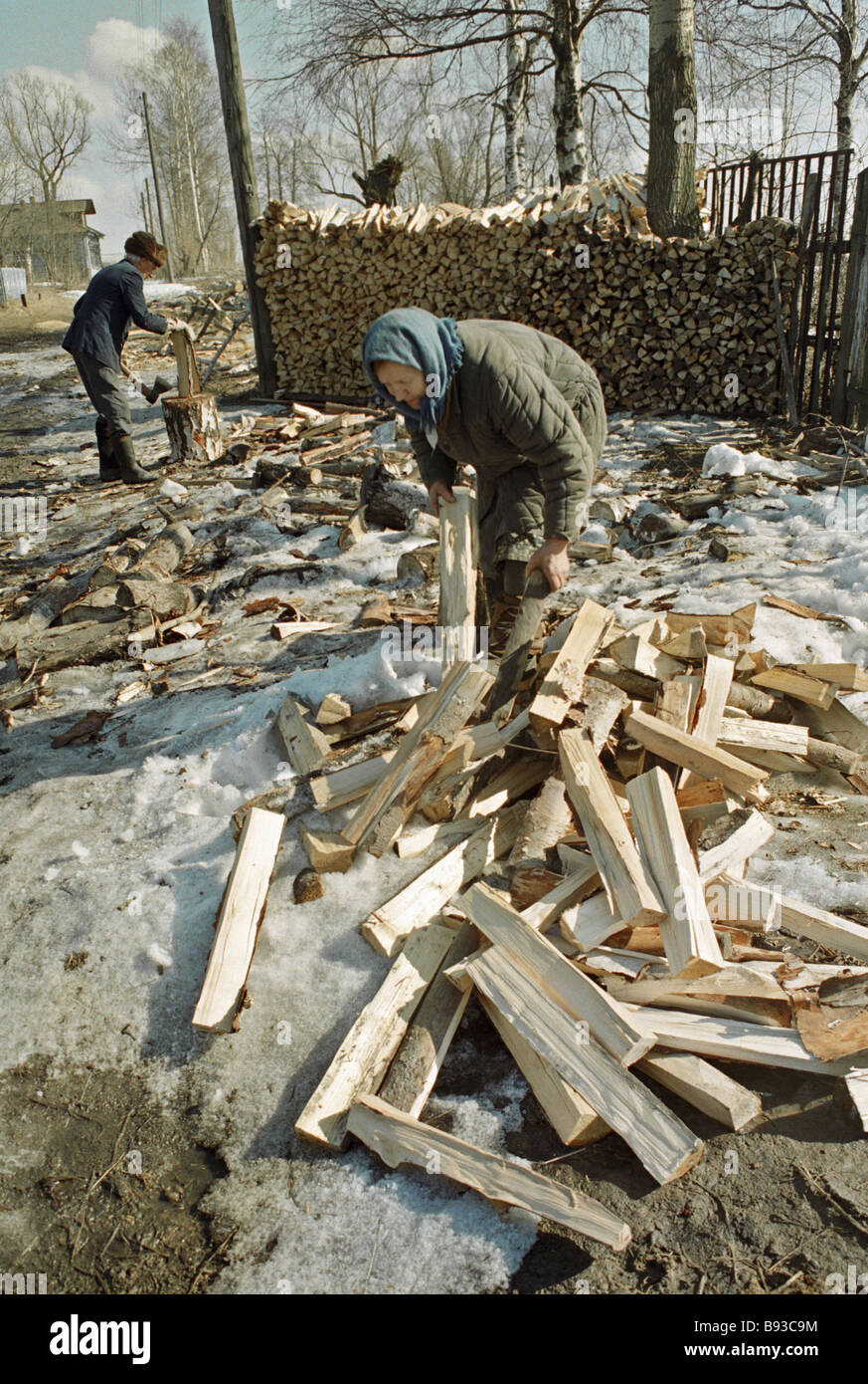 An old woman gathers the wood chopped by her husband Only old men and ...