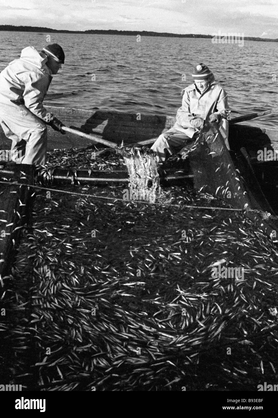 Fishermen hauling a net with fish Stock Photo - Alamy
