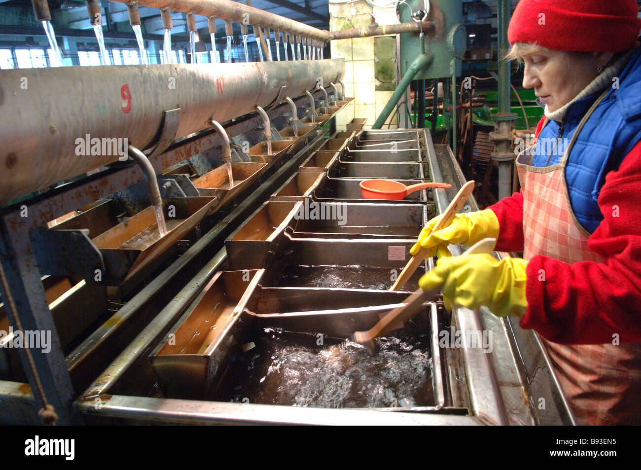 The Osetr incubator for fertilized eggs which 6 to 7 days later produce ...