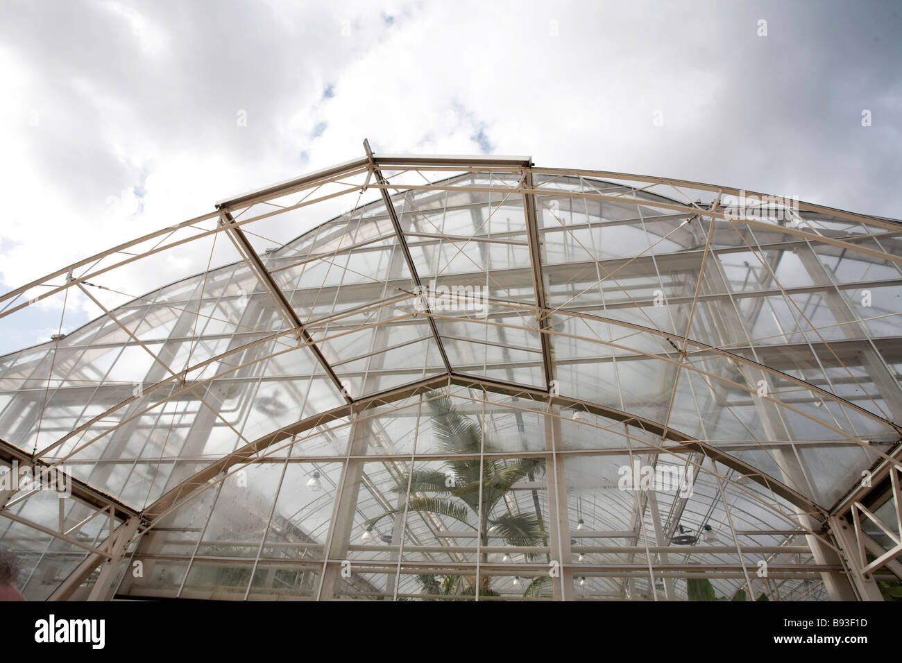 large glass greenhouse Stock Photo - Alamy