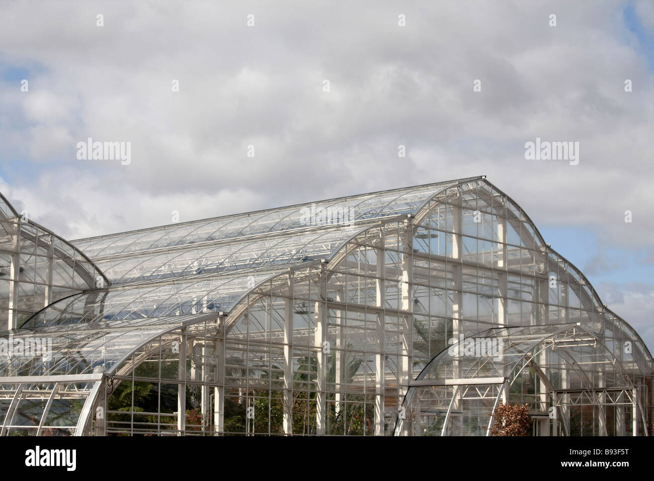 large glass greenhouse Stock Photo - Alamy
