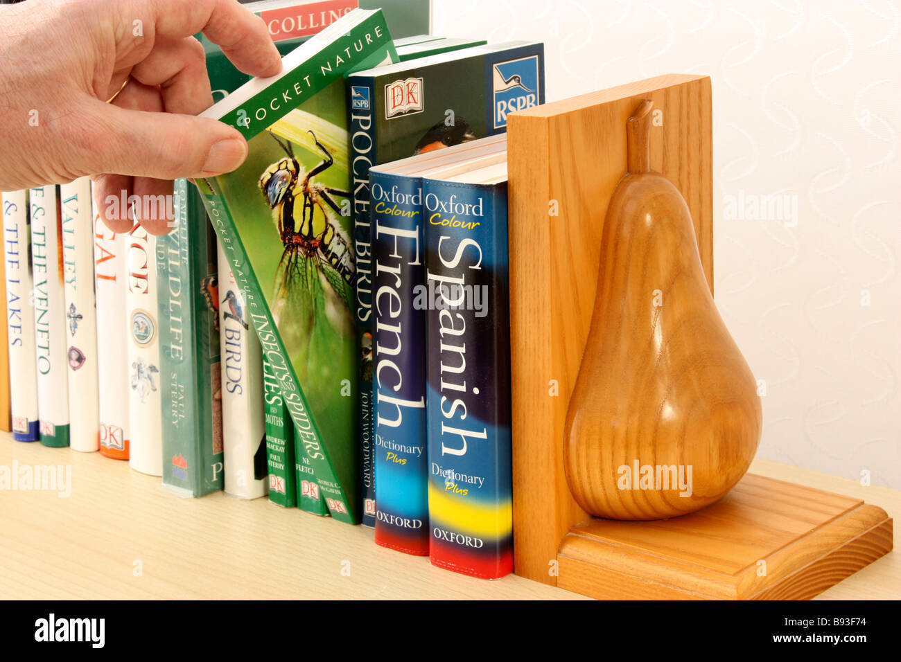 Man Choosing a Book Stock Photo - Alamy