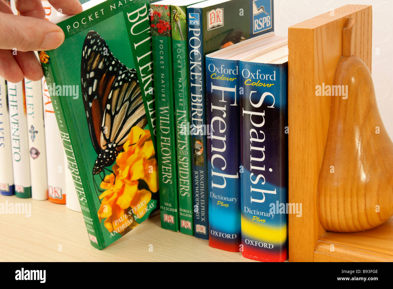 Choosing a Book Stock Photo - Alamy