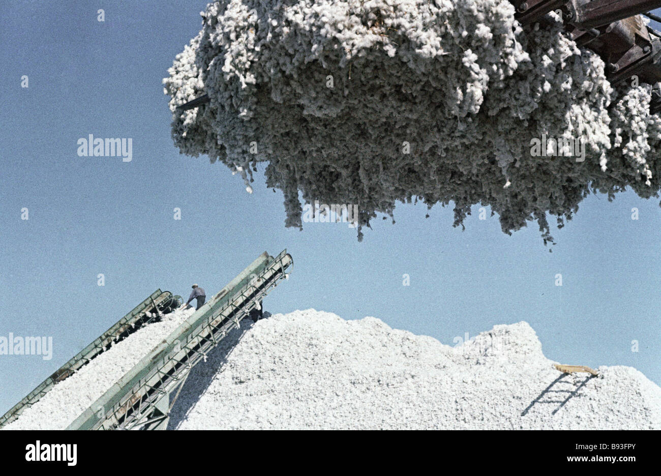 Mechanized cotton loading operations at a cotton acceptance center in ...