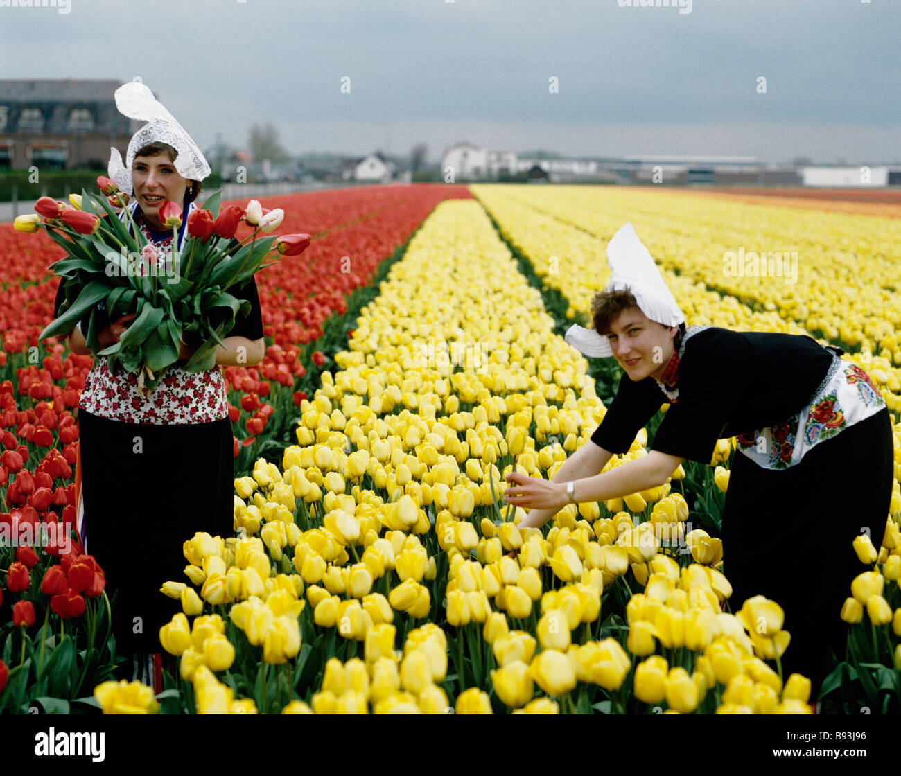 Holland flower girls hi-res stock photography and images - Alamy