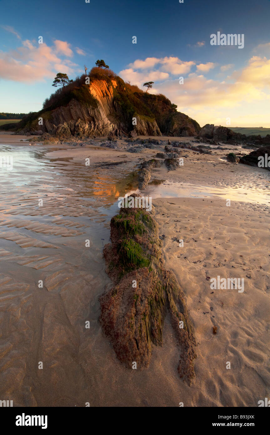 Mothecombe devon hi-res stock photography and images - Alamy