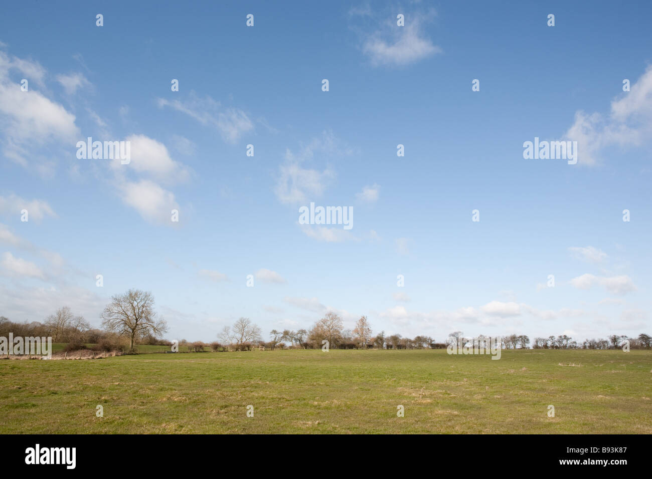 A view of a field and blue sky in the English countryside, UK Stock ...