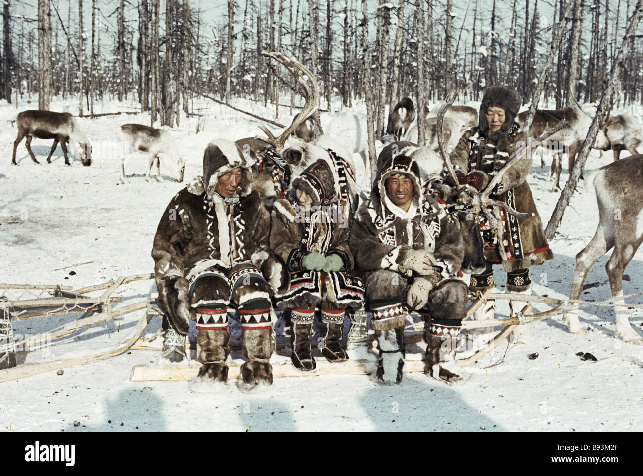 A family of reindeer breeder hunters Stock Photo - Alamy