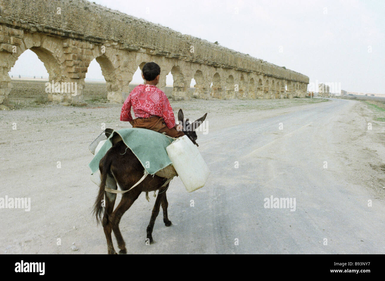 A Tunisian resident riding on a donkey past the ruins of a Roman era ...