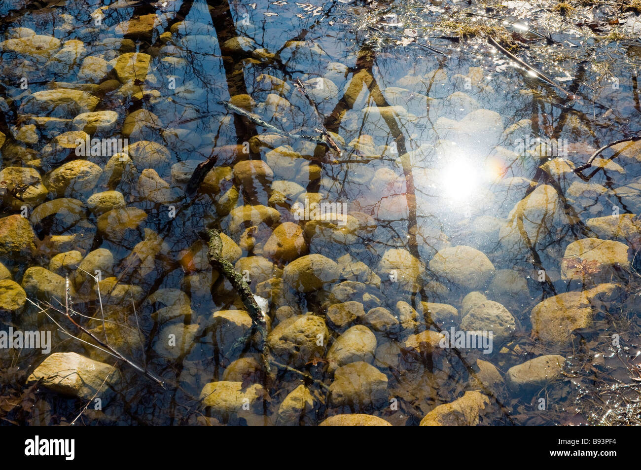 Reflections off a drainage pond Stock Photo - Alamy
