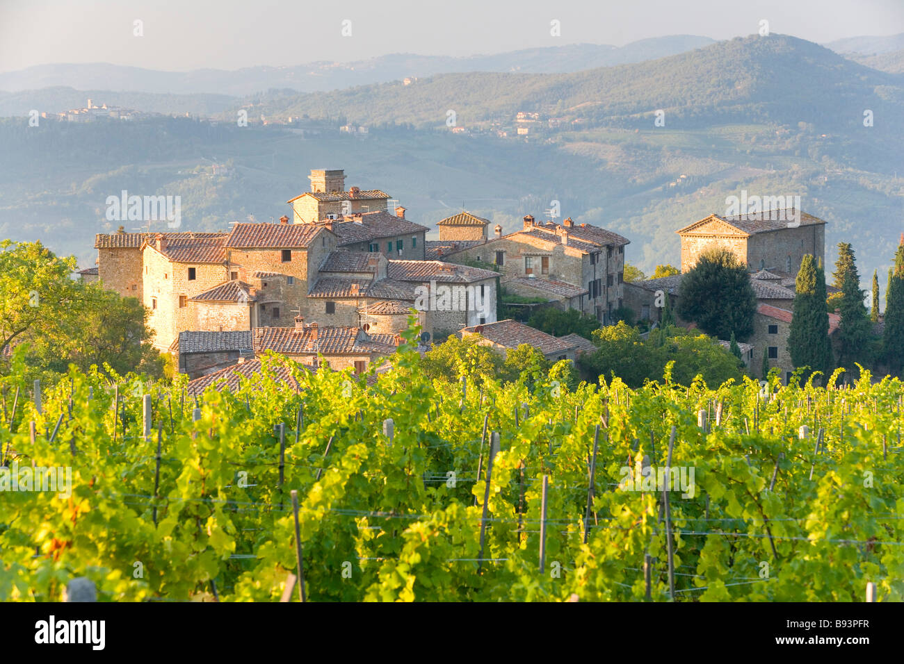 Vineyard and village Volpaia, Chianti, Tuscany, Italy Stock Photo - Alamy