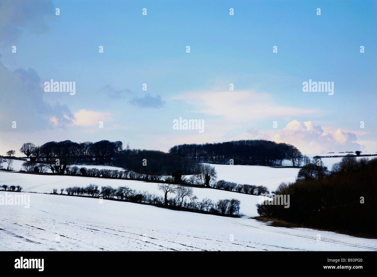 Cheselbourne High Resolution Stock Photography and Images - Alamy