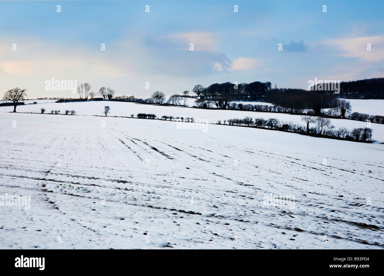 Cheselbourne dorset hi-res stock photography and images - Alamy