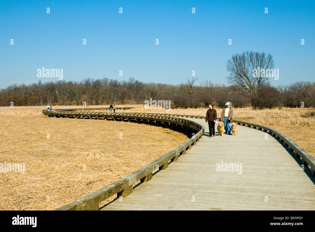 Wetlands bridge hi-res stock photography and images - Alamy