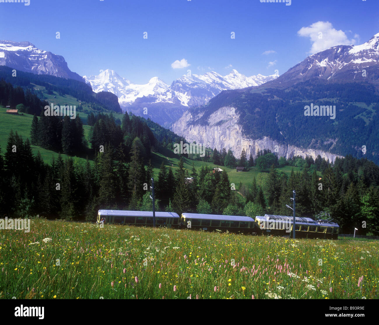 Train on a mountain railway travelling throuch the beautiful scenery of ...