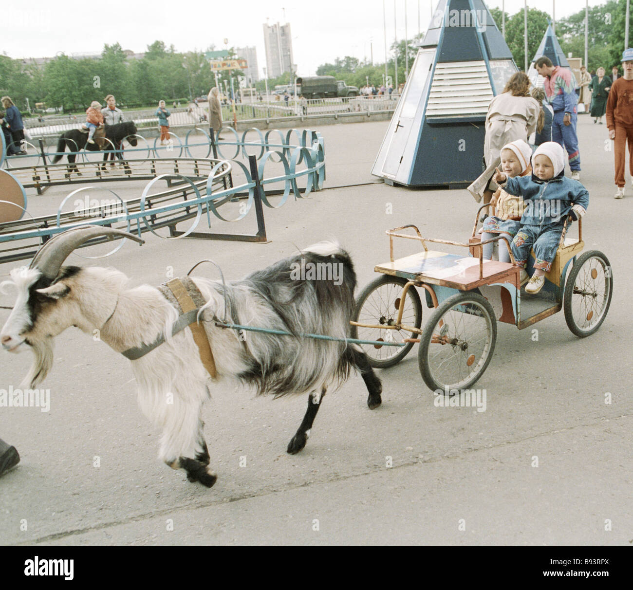 Children riding in a goat driven cart on Child Protection Day Stock ...