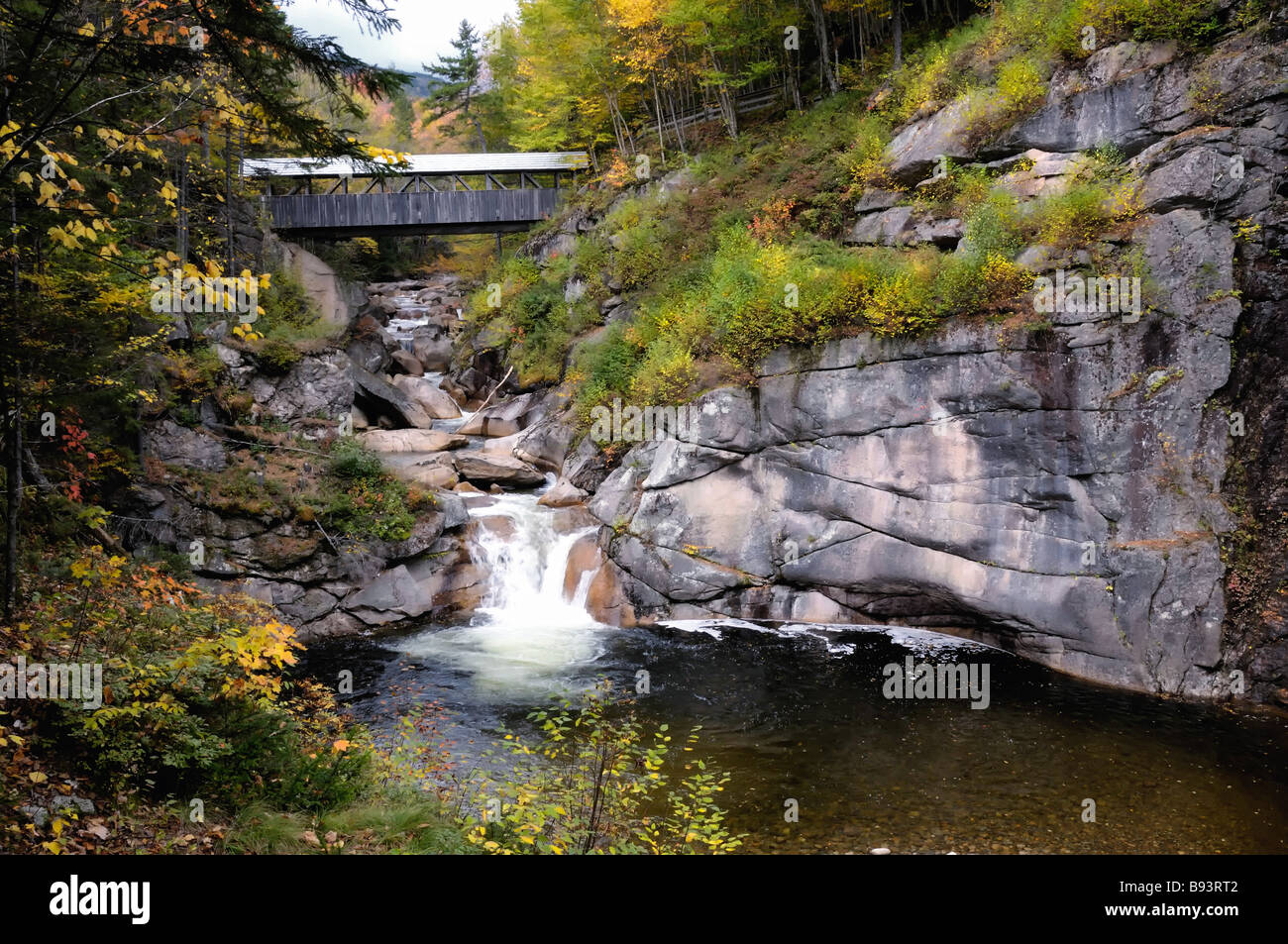 Stream flowing under wooden hi-res stock photography and images - Alamy