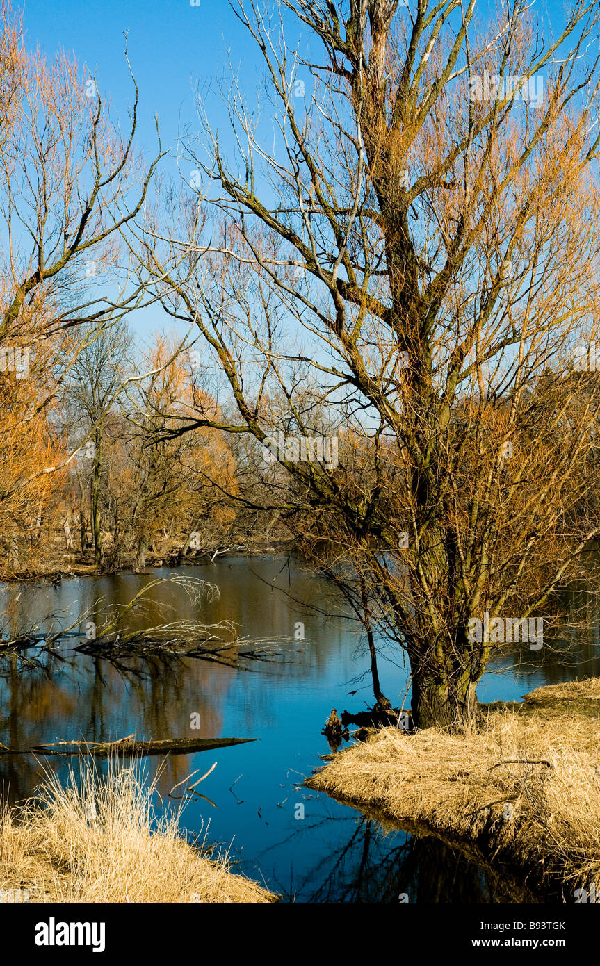 Wetlands pond hi-res stock photography and images - Alamy