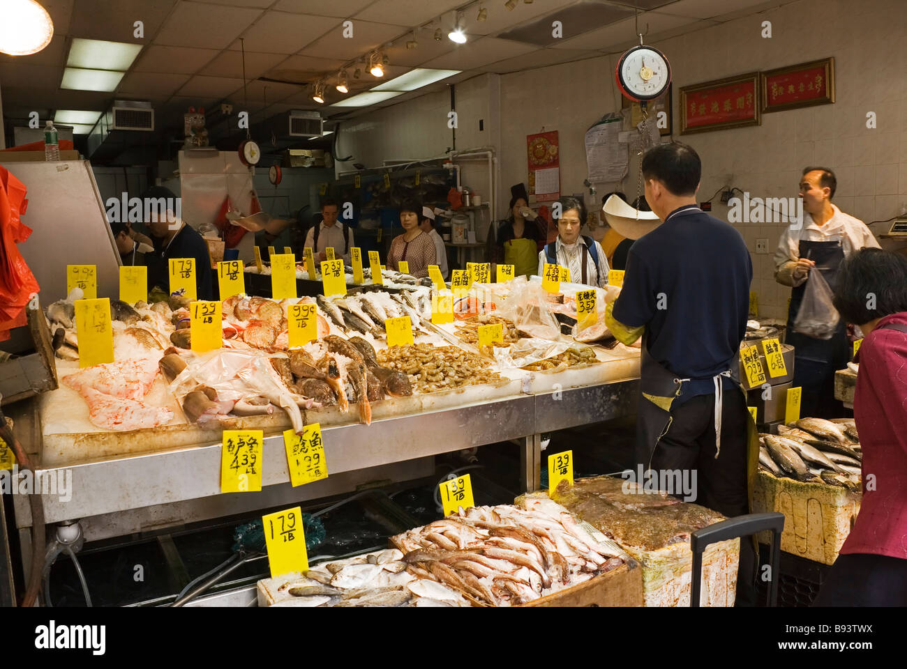 Fish market chinatown hi-res stock photography and images - Alamy