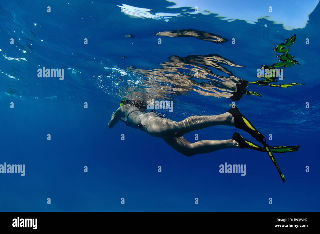 Freediver Female High Resolution Stock Photography and Images - Alamy