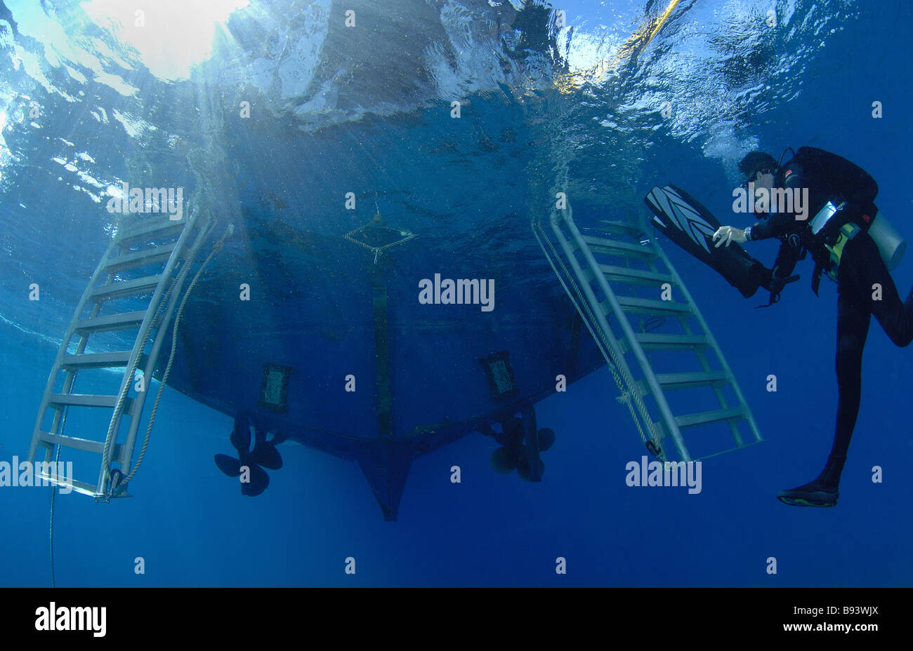 Finish the ocean swim hi-res stock photography and images - Alamy