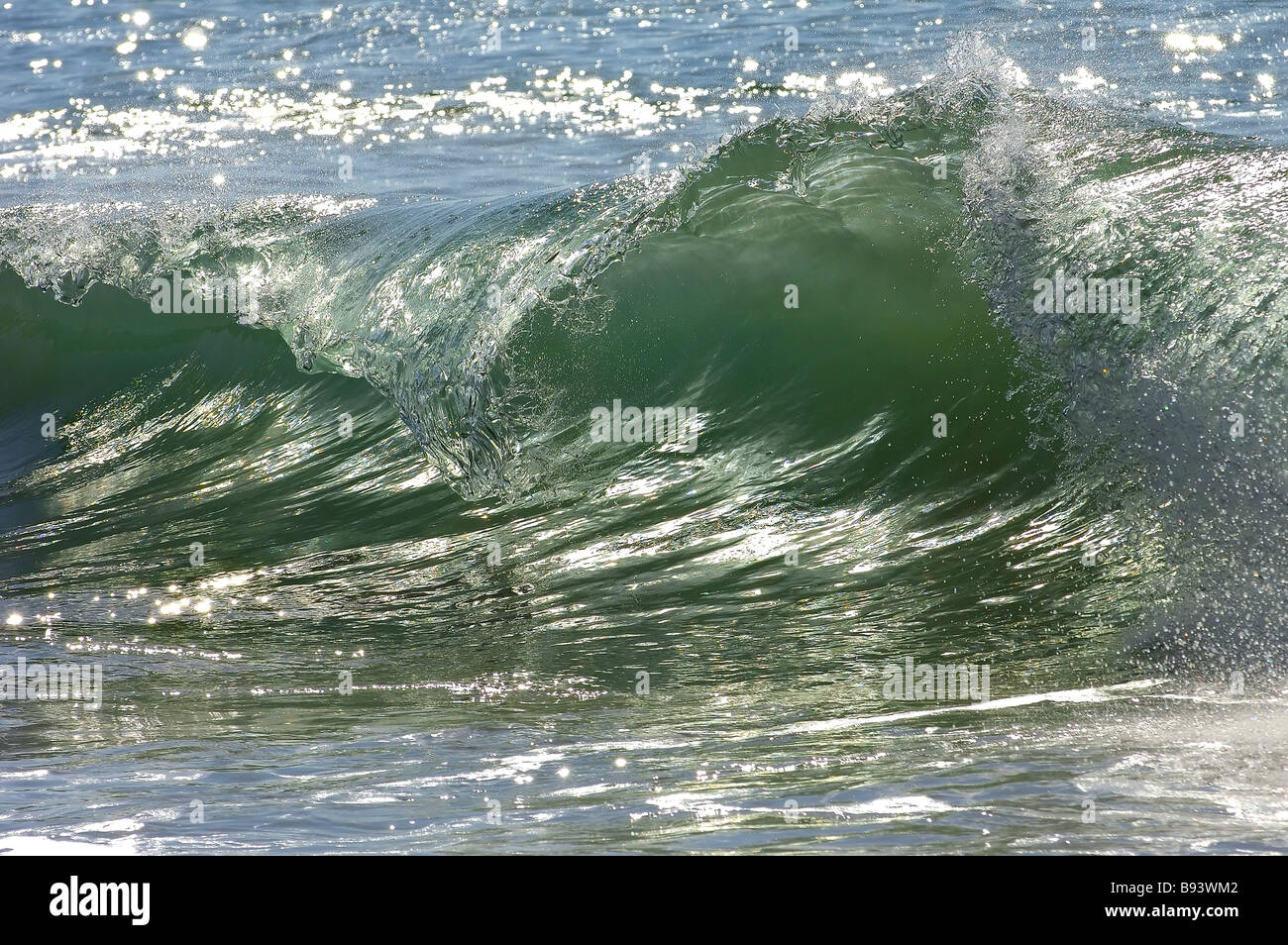 Curling Ocean Wave Pacific California USA Stock Photo - Alamy