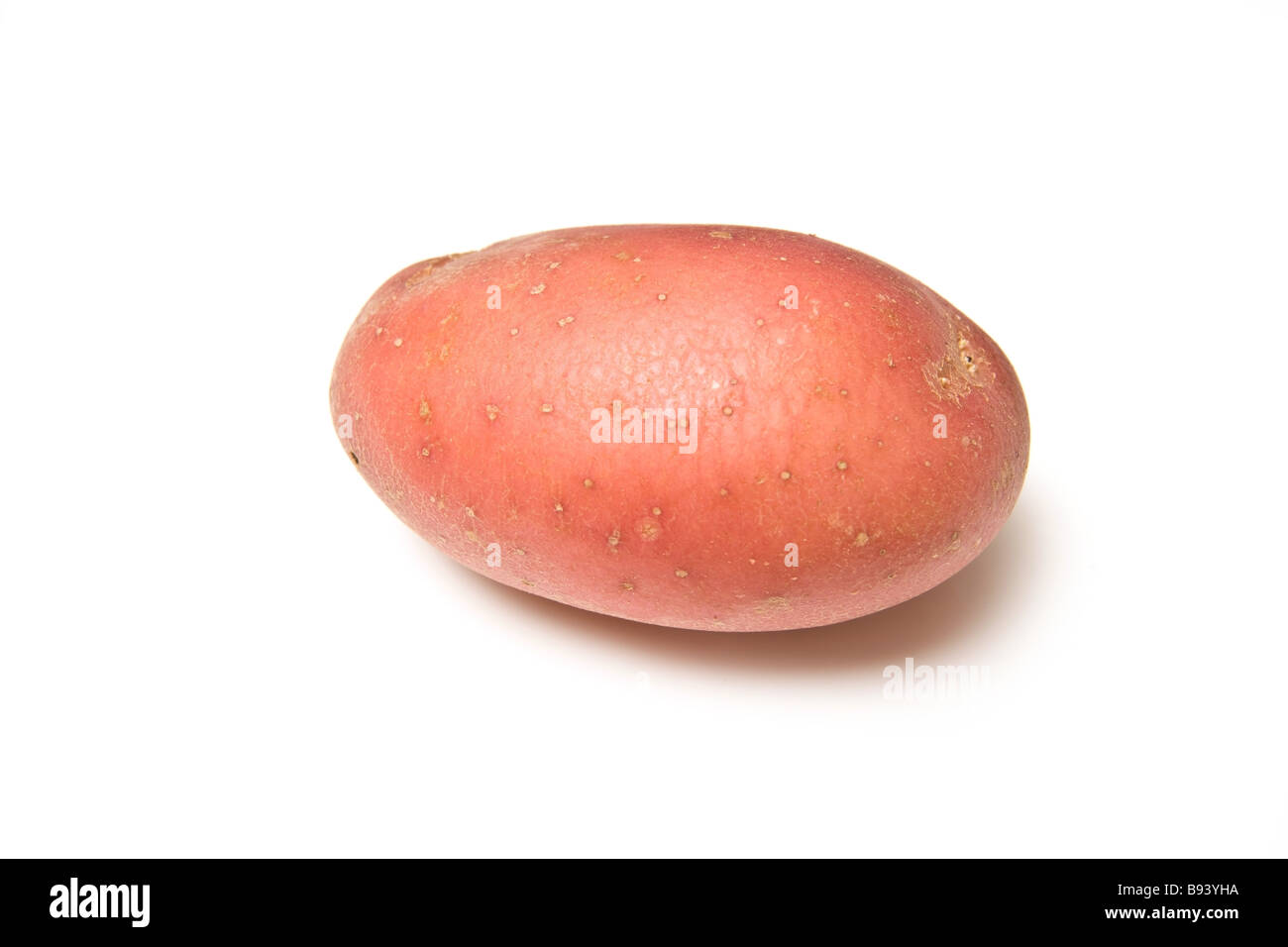 Red rooster potato's isolated on a white studio background Stock Photo ...
