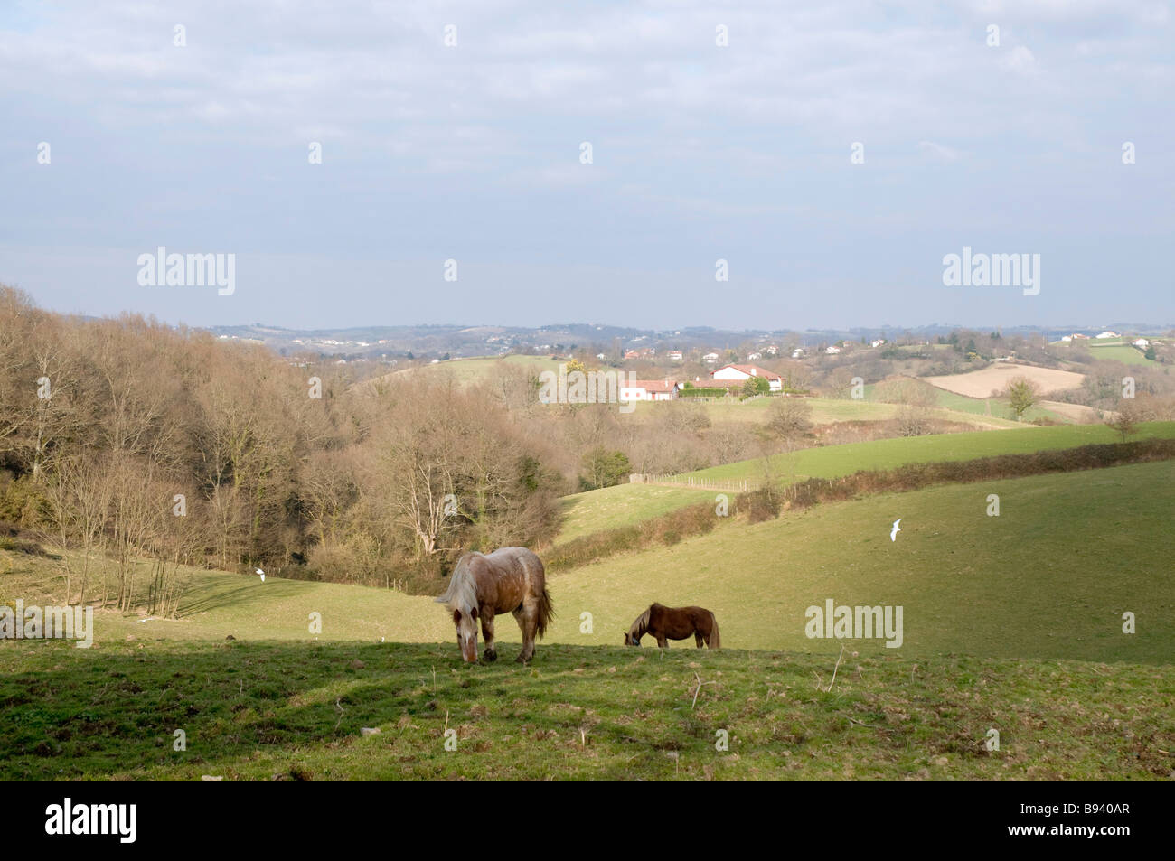Europe france basque country pays basque euskadi hi-res stock ...