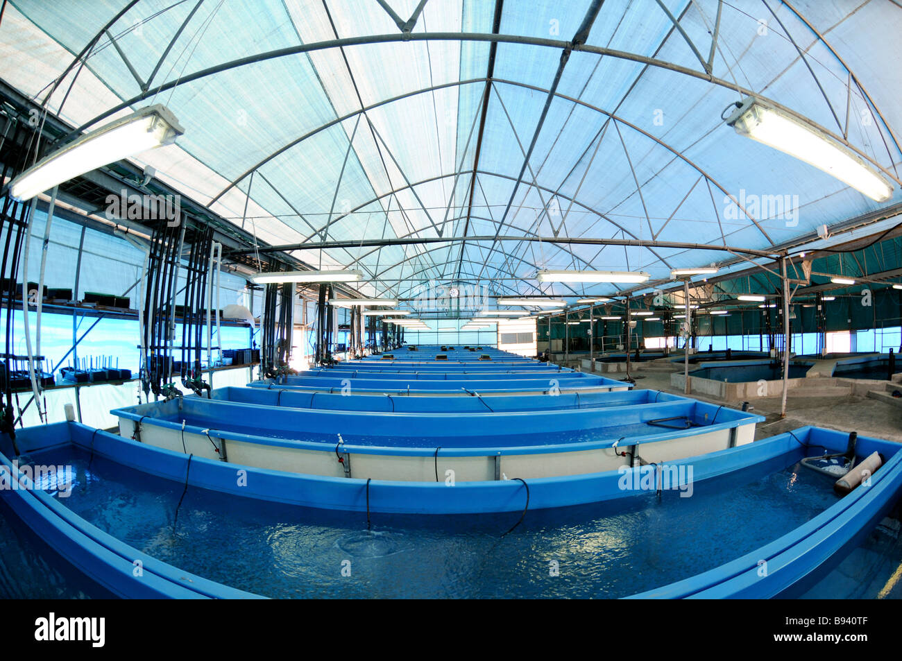 Indoor controlled environment pools for nurturing the fish in the first ...