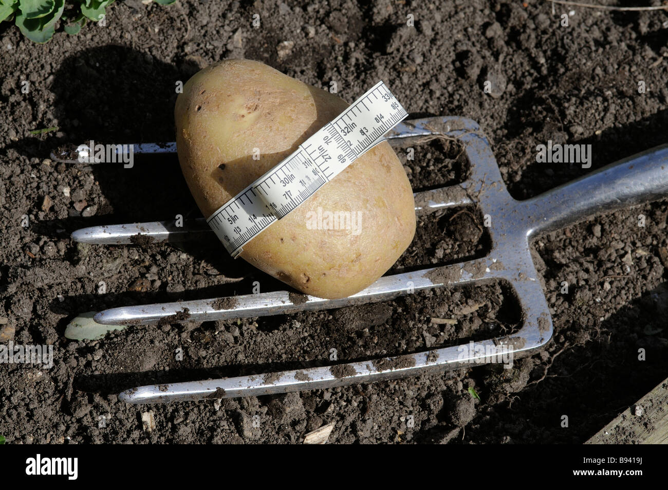 Earth Tape Measure High Resolution Stock Photography and Images - Alamy