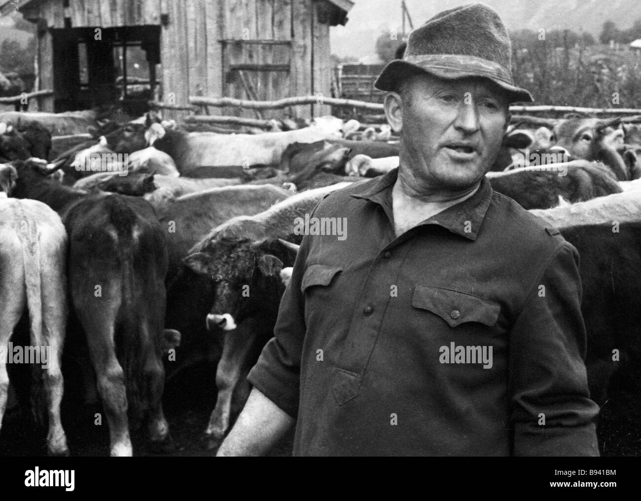 Zootechnician examines cows in the Gundelen village Stock Photo - Alamy