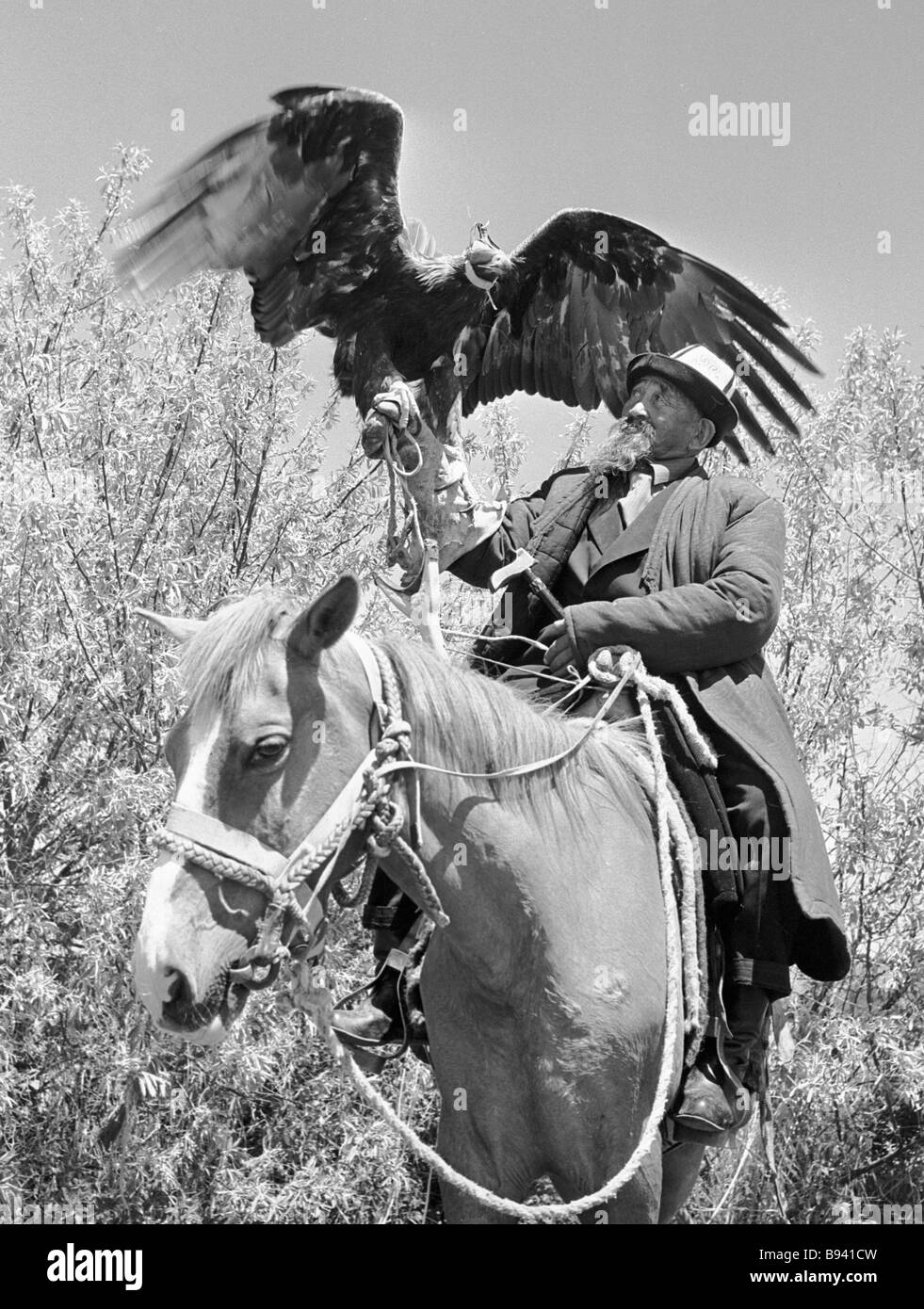 A mounted hunter with a golden eagle Stock Photo - Alamy