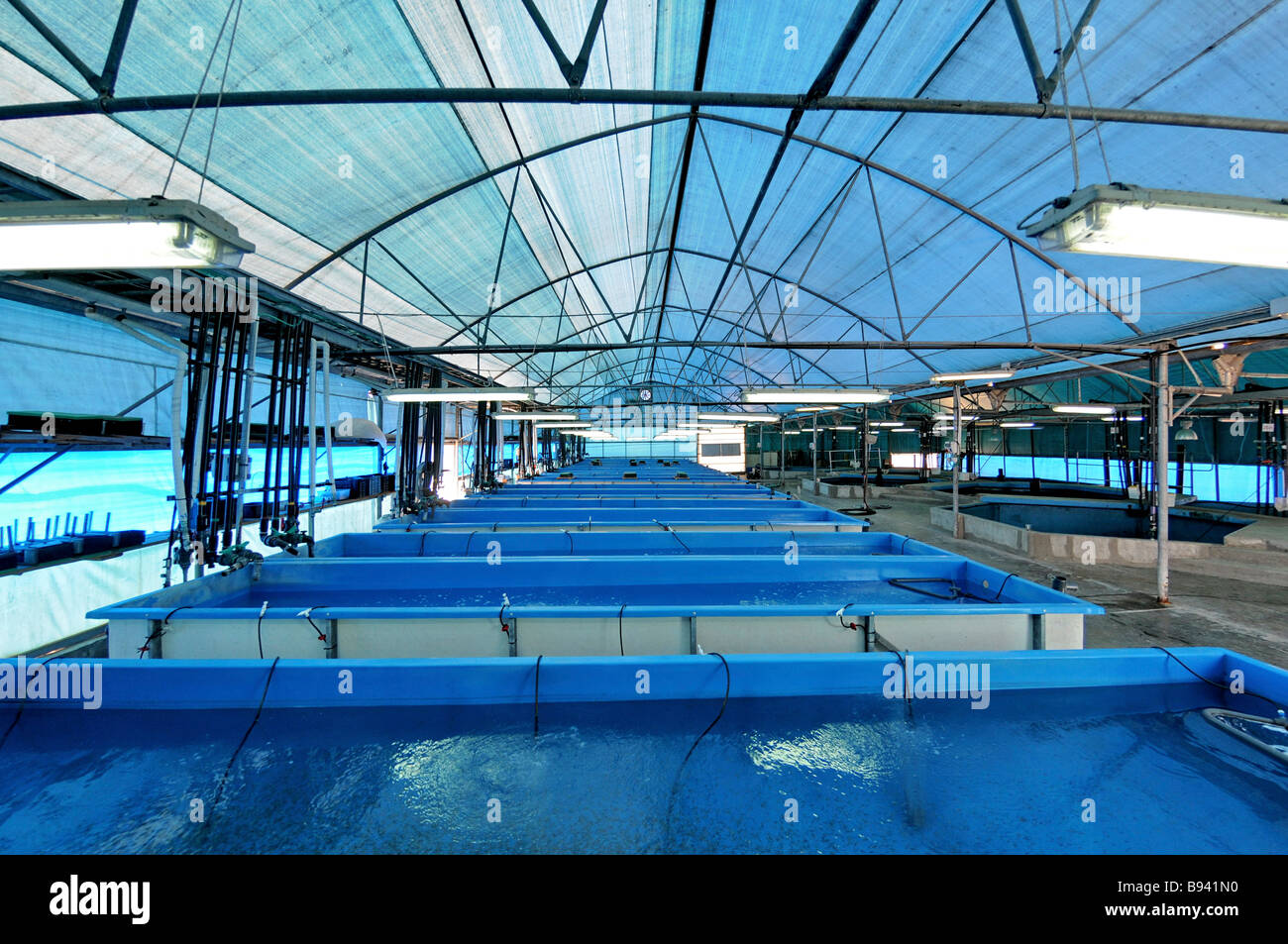 Indoor controlled environment pools for nurturing the fish in the first ...