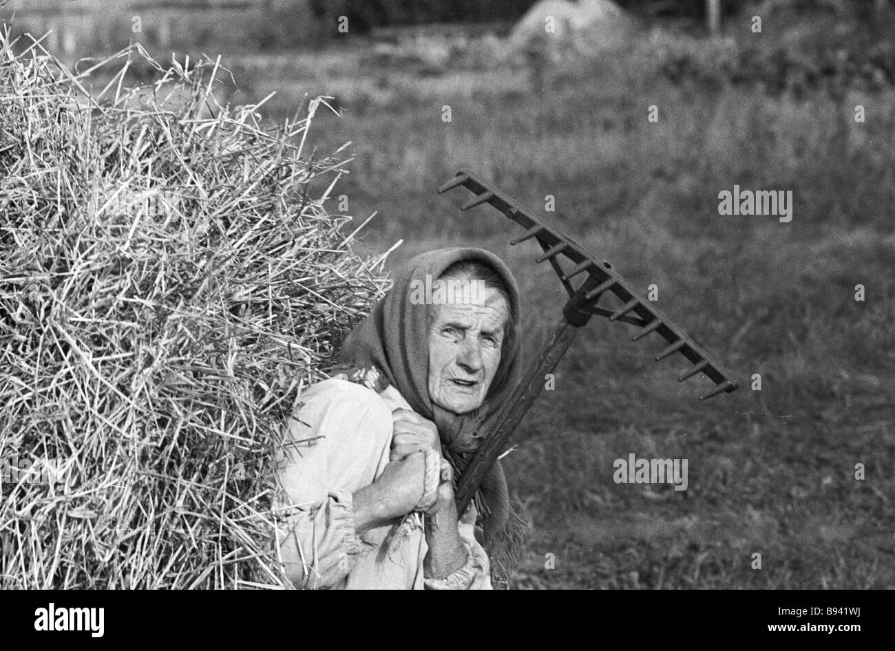 A rural woman makes hay Stock Photo - Alamy