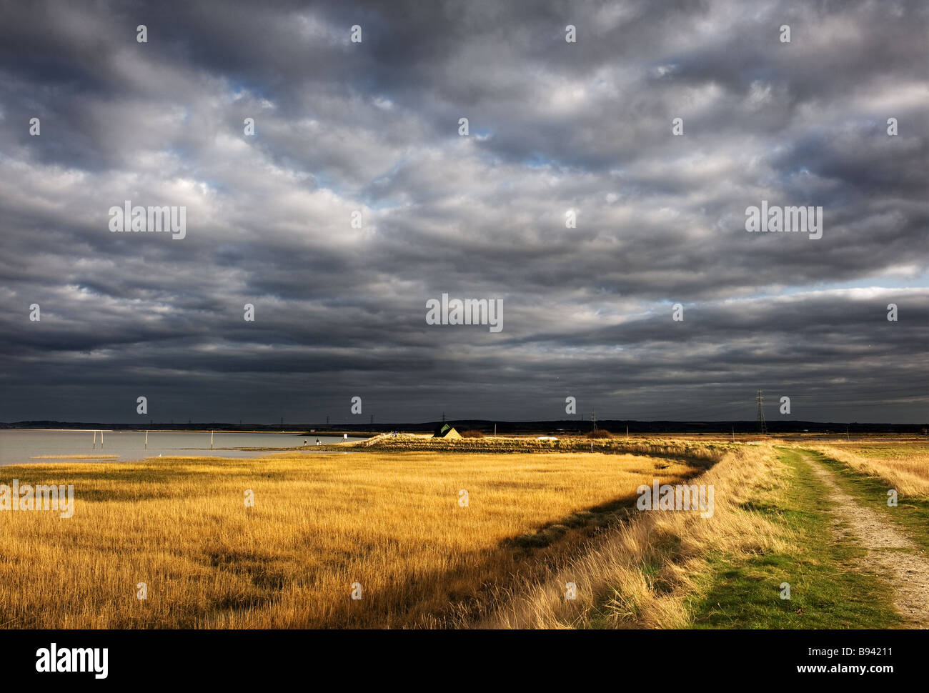 The sea wall on the River Swale in Kent Stock Photo - Alamy