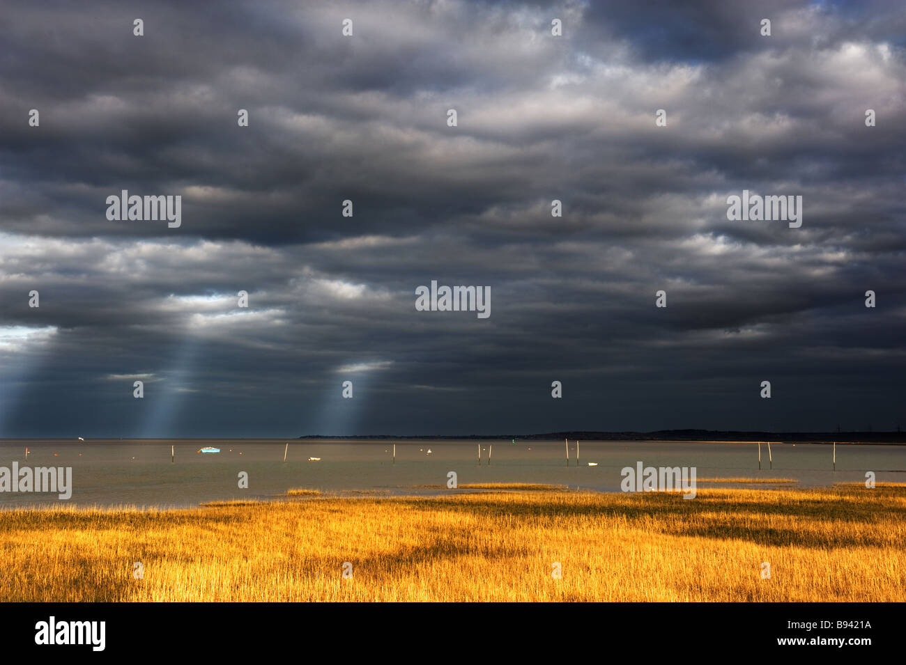 The River Swale in Kent Stock Photo - Alamy