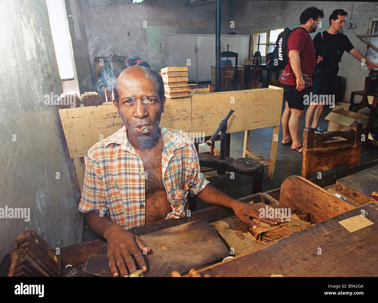 A worker at a tobacco factory in Pinar del Rio is a experienced cigar ...