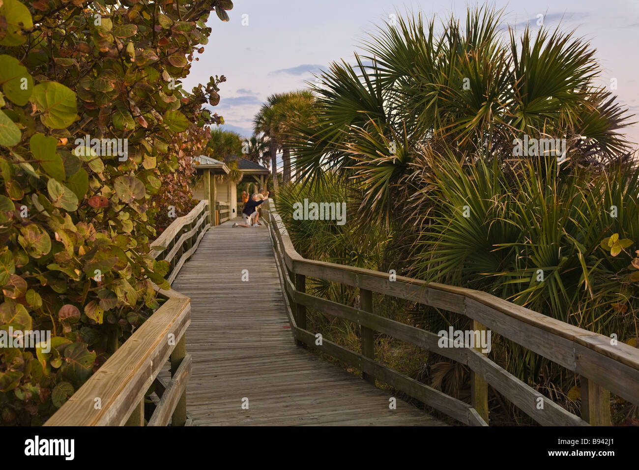 Broadwalk to beach at Nokomis Beach in Florida Stock Photo - Alamy