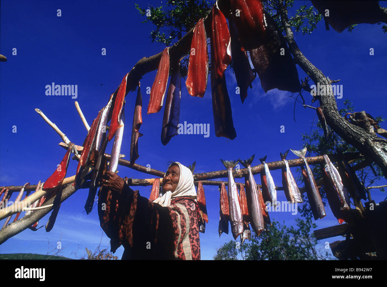Fish drying process Stock Photo - Alamy