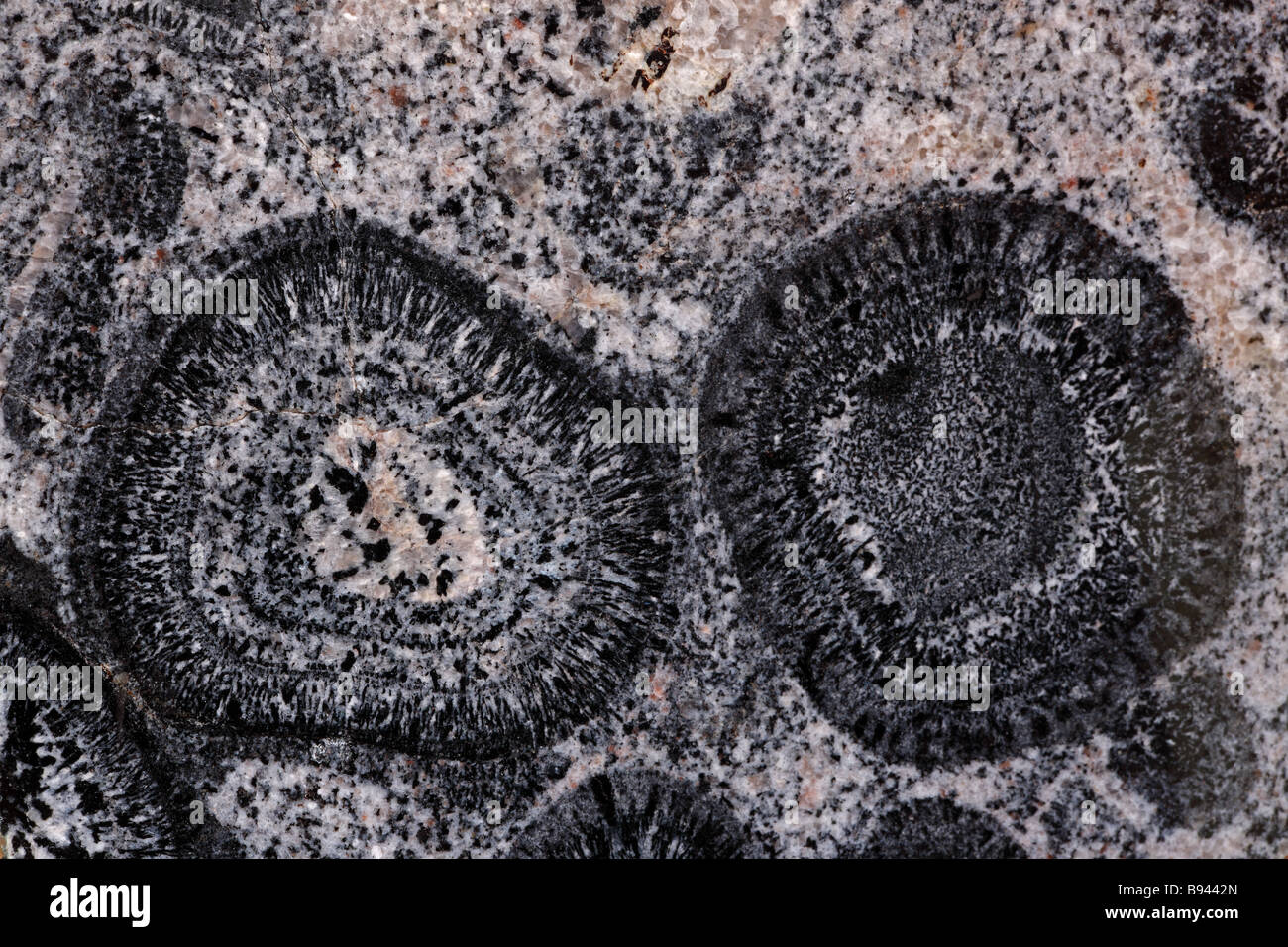Pre cambrian granite hi-res stock photography and images - Alamy