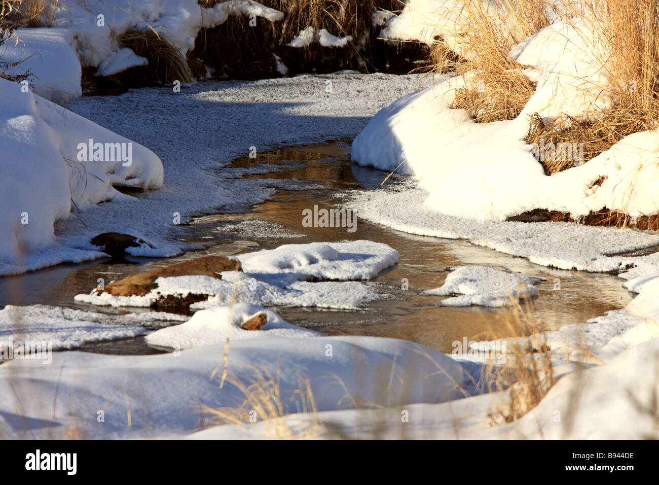 Icy Stream in Winter Stock Photo - Alamy