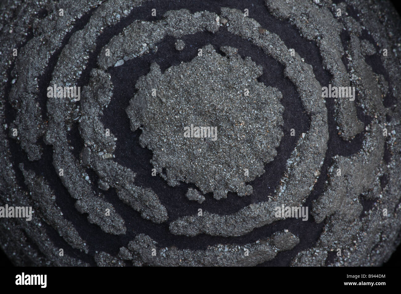 Pyrite on Shale Concretion - Yunnan China Stock Photo - Alamy