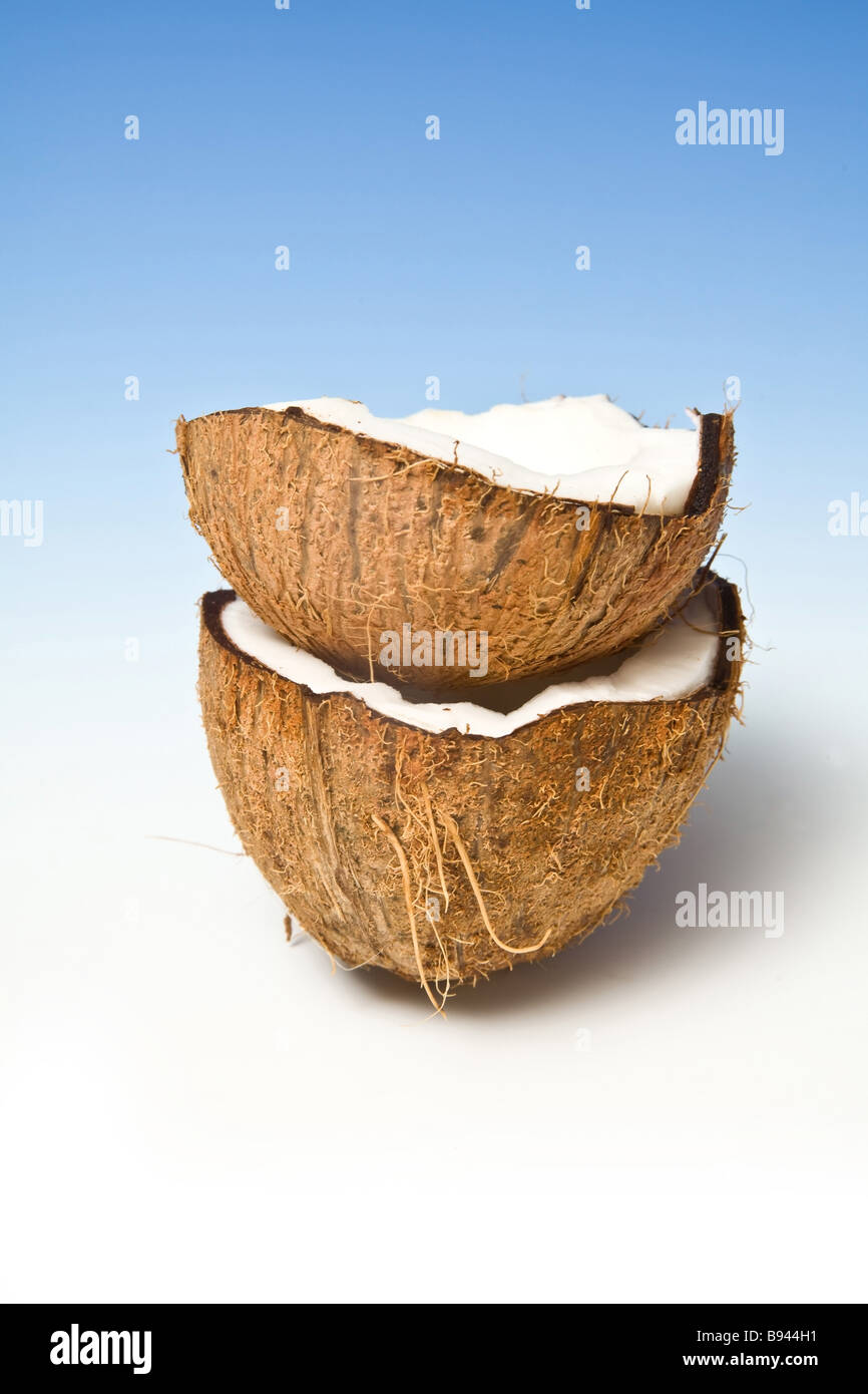 Halved coconut on a graduated blue studio background Stock Photo - Alamy