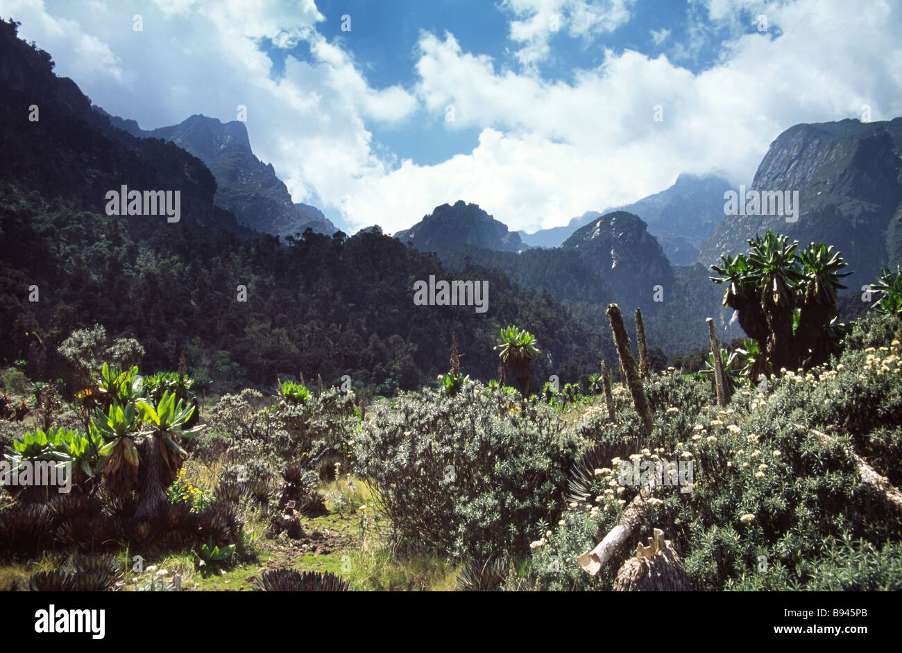 Rwenzori Mountain Range High Resolution Stock Photography and Images ...