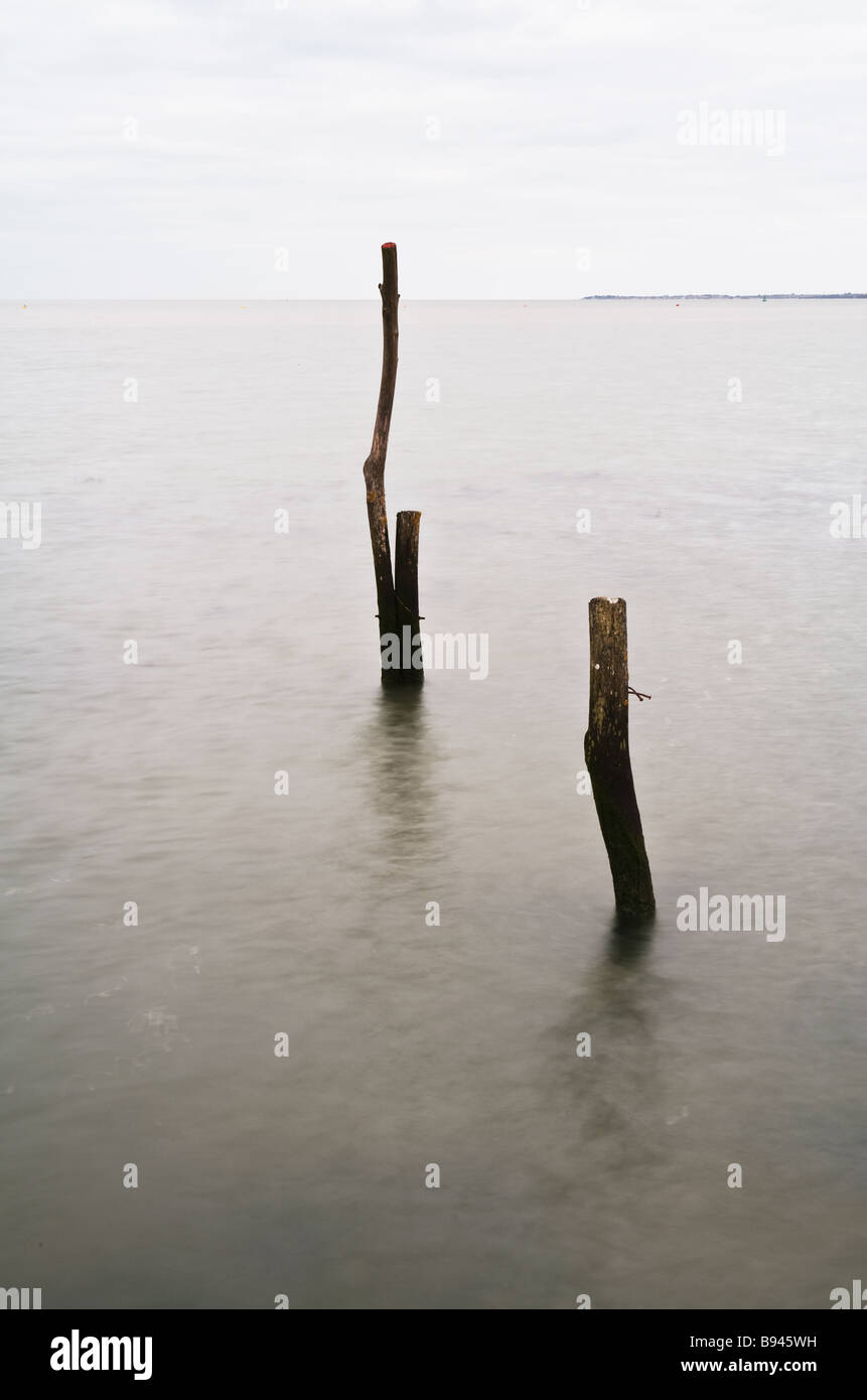 Two wooden poles in the River Swale in Kent Stock Photo - Alamy