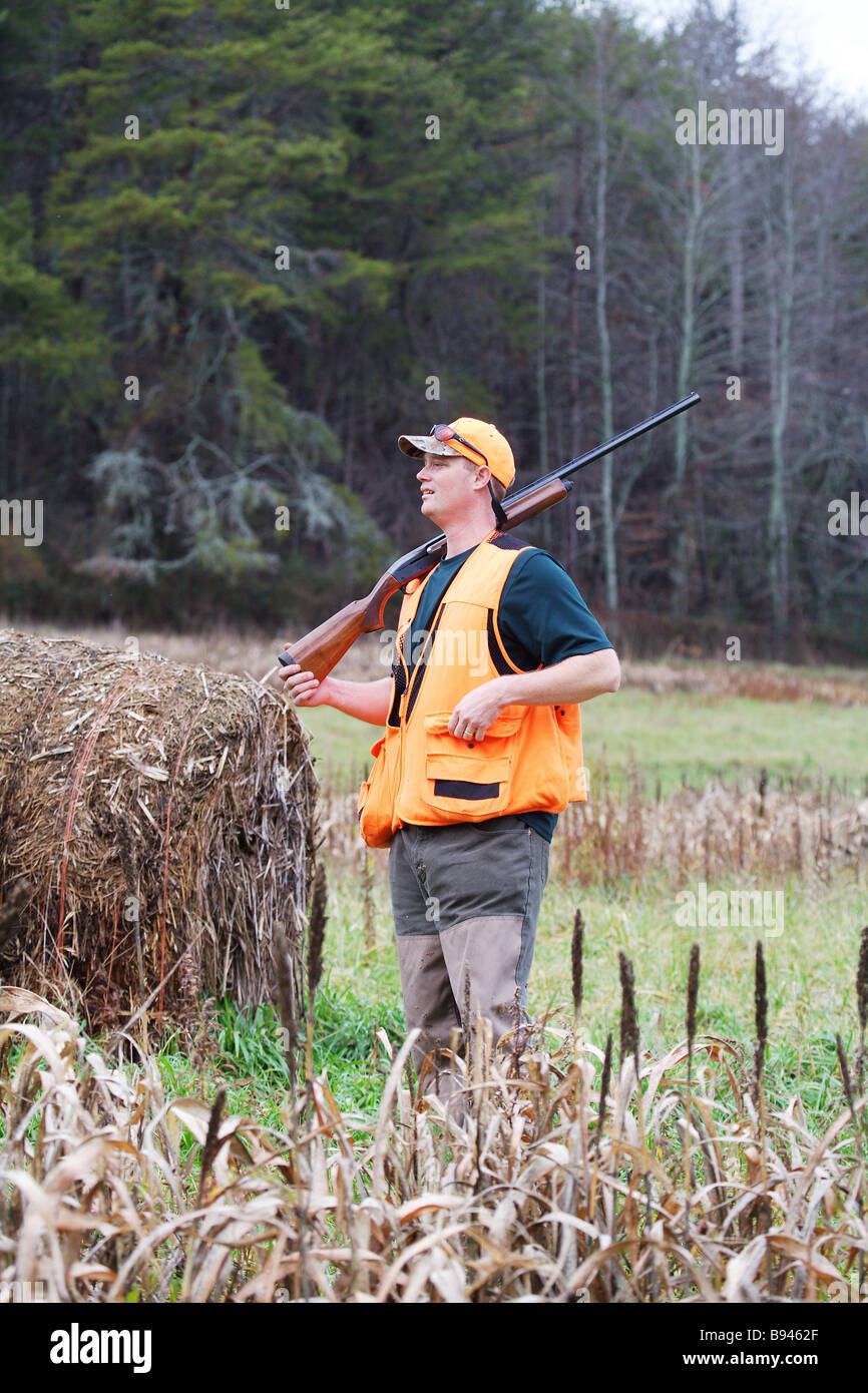 UPLAND BIRD HUNTER STANDING IN FIELD OF SORGUM LOOKING INTO DISTANCE ...