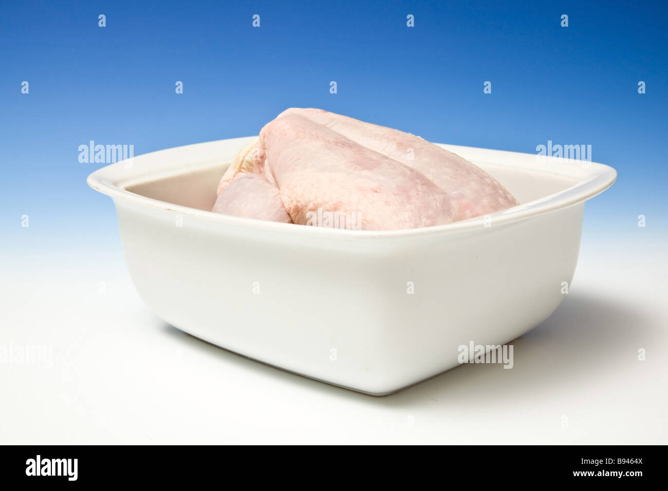 Whole uncooked chicken in a roasting dish on a blue studio background ...