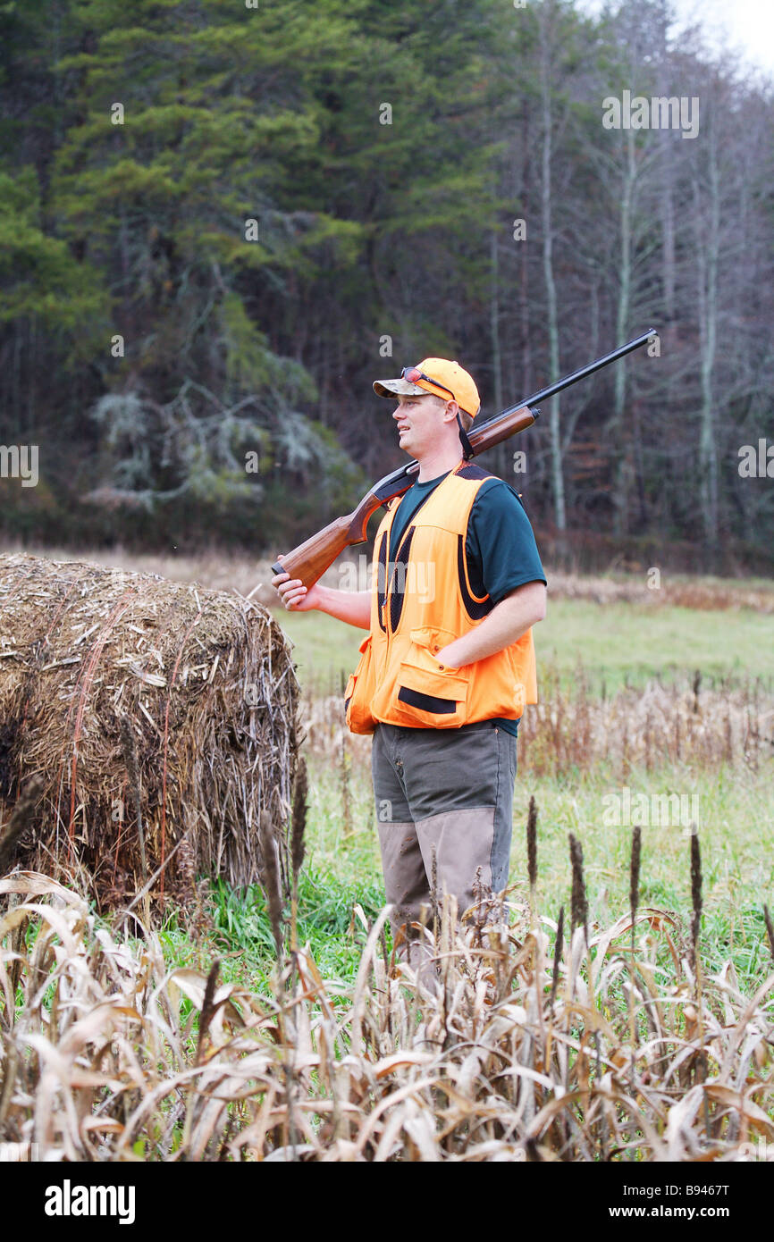 UPLAND BIRD HUNTER STANDING IN FIELD OF SORGUM LOOKING INTO DISTANCE ...