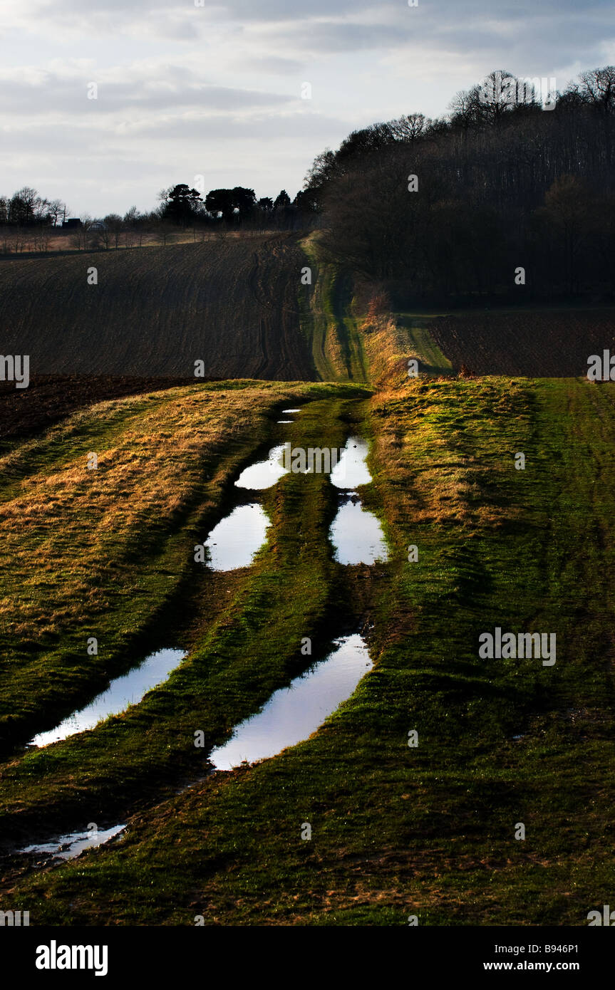 A waterlogged field in Kent. P Stock Photo - Alamy